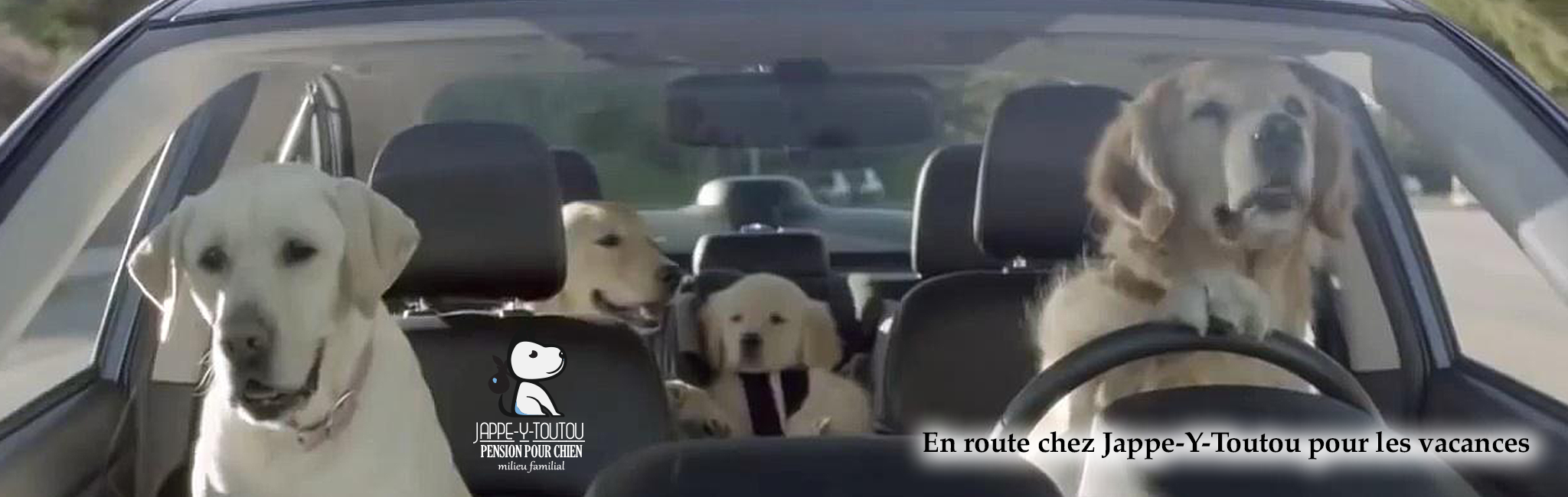 CHIEN-CHAR | Jappe-y-toutou